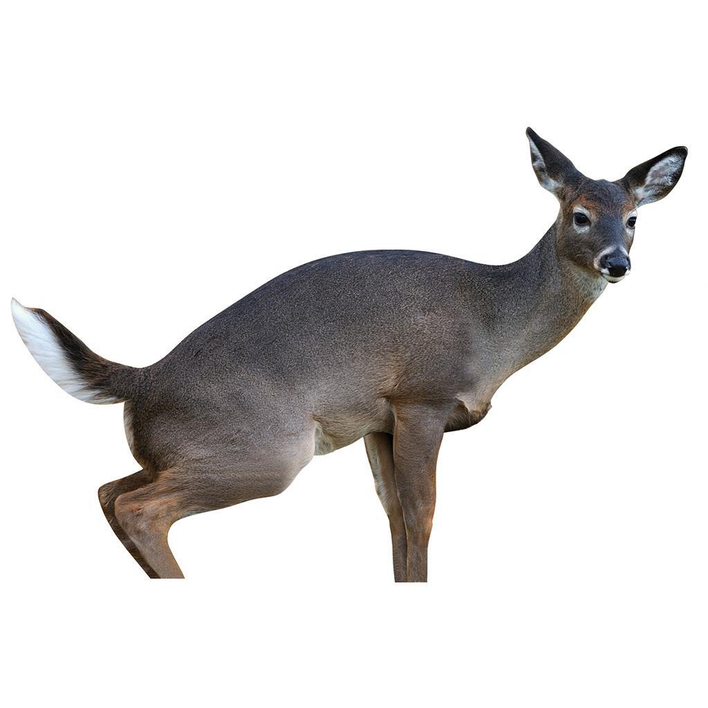 Montana Decoy Estrus Betty Doe Decoy|Montana Decoy deer decoys ...